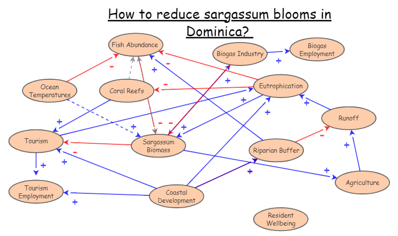 PPUA5249 Practice | Insight Maker