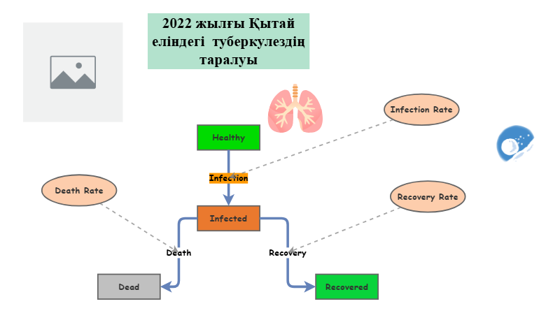 Өзіндік жұмыс 1 (жүйелік динамика) | Insight Maker