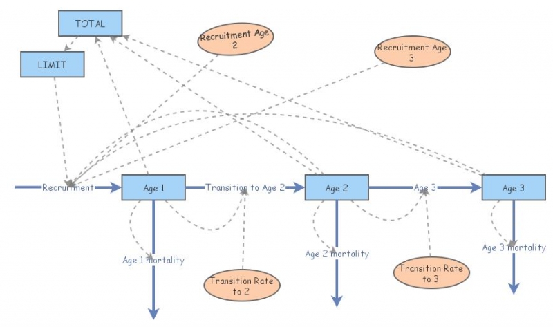 age structure lab | Insight Maker