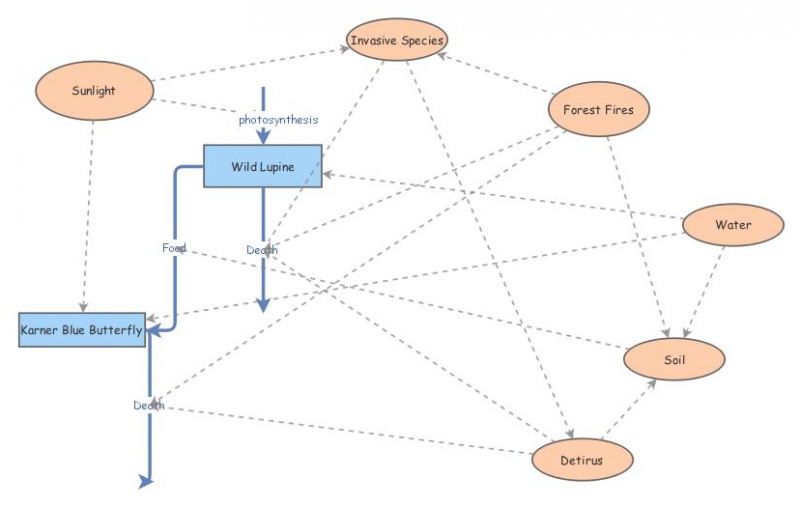 model | Insight Maker