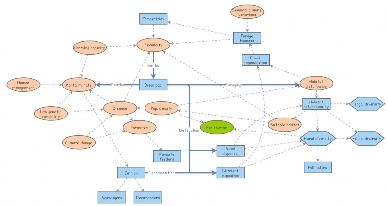 bison model | Insight Maker