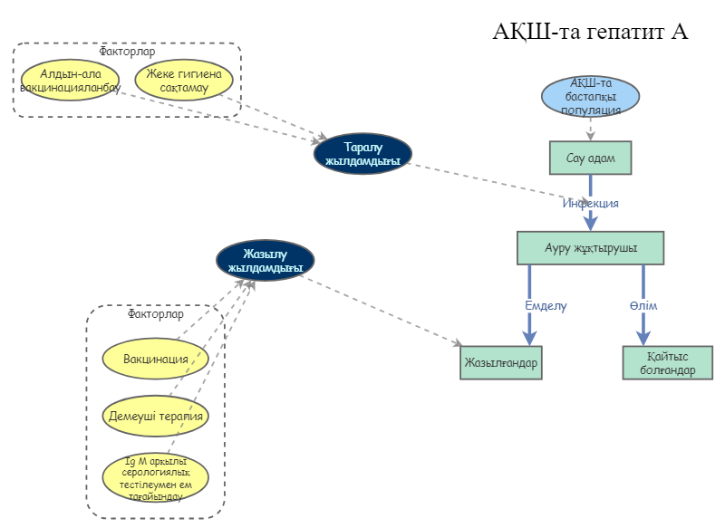 Өзіндік жұмыс Еркенұр | Insight Maker