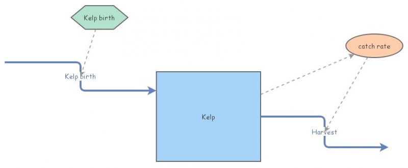 Clone of Kelp Model | Insight Maker