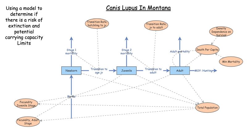 Clone of Stage-Based Population Model | Insight Maker