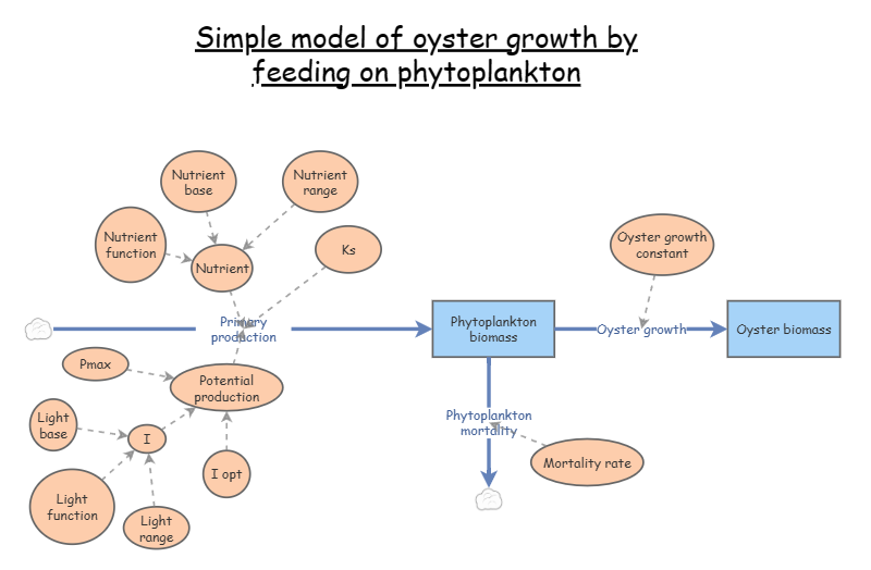 Clone of Simple phytoplankton and oyster model | Insight Maker