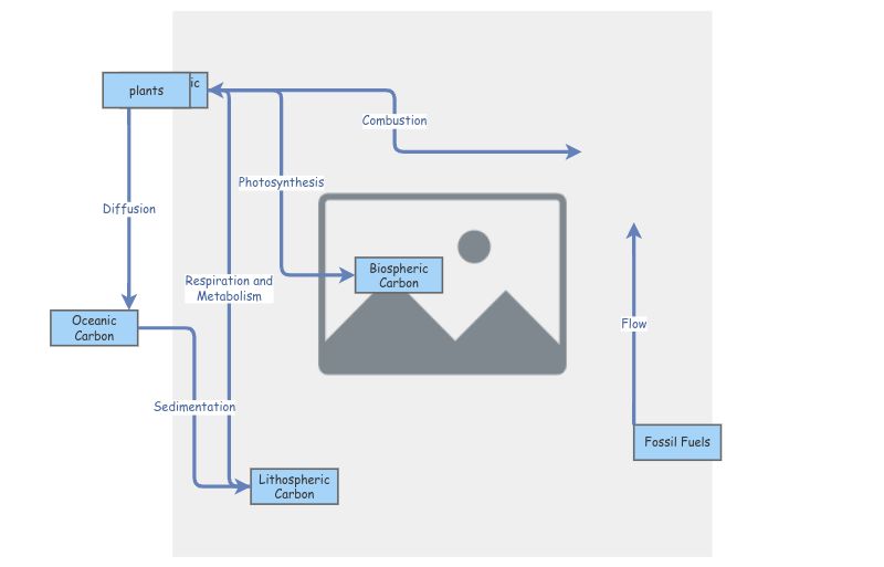 Carbon Cycle | Insight Maker