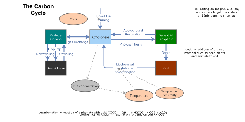 Part C Cycle | Insight Maker
