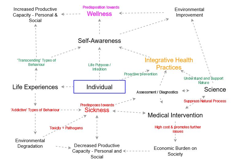Health and Wellness model | Insight Maker