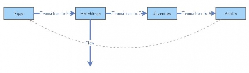 Loggerhead PVA Model | Insight Maker