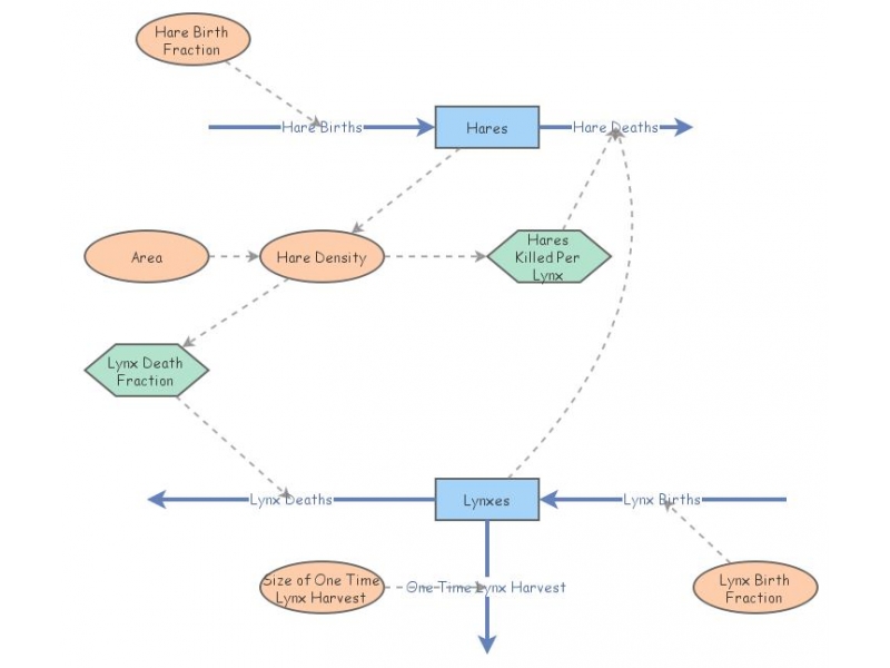Hare Model | Insight Maker