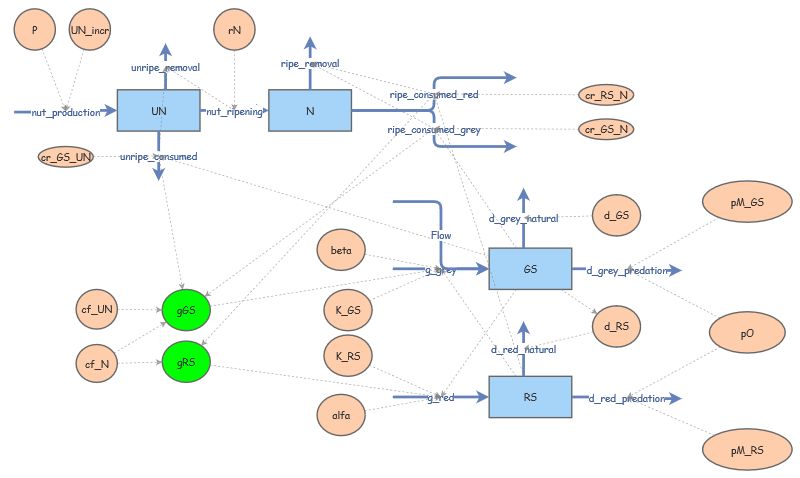 Group50 - Squirrel Model (draft) | Insight Maker