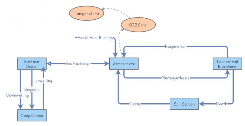 carbon cycle 3 | Insight Maker
