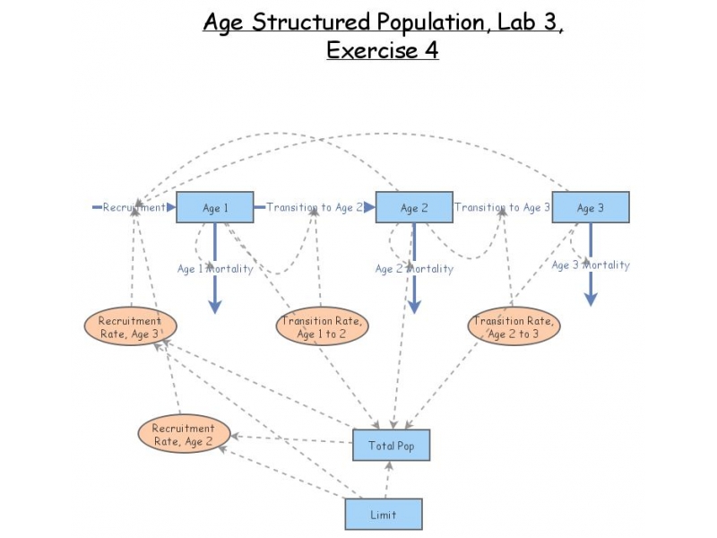 Lab 3, Exercise 4 | Insight Maker