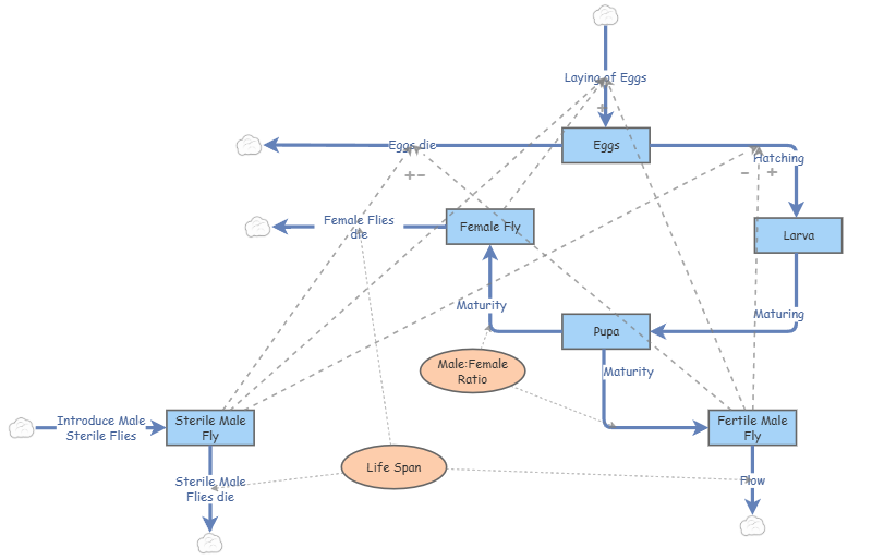 Screwworm Systems Dynamics Model - v0.3 | Insight Maker