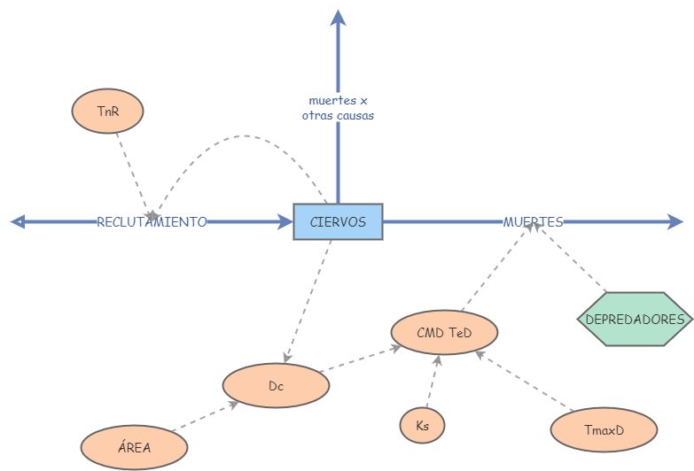 MODELO CERO 13 sep | Insight Maker
