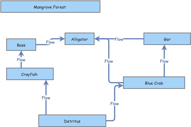 Mangrove forest | Insight Maker