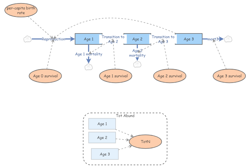 Age-structure Model | Insight Maker