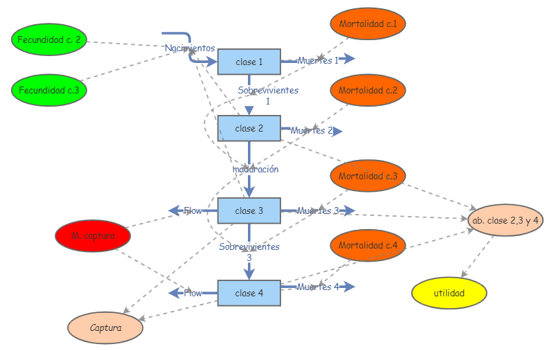 tarea 2.estabilizar poblacion | Insight Maker