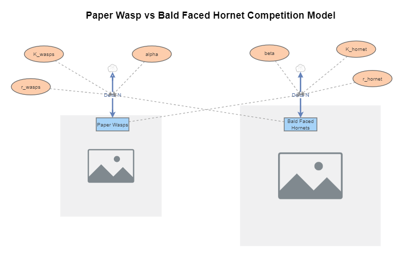 Clone of Paper wasp and Bald Faced Hornet Competition | Insight Maker