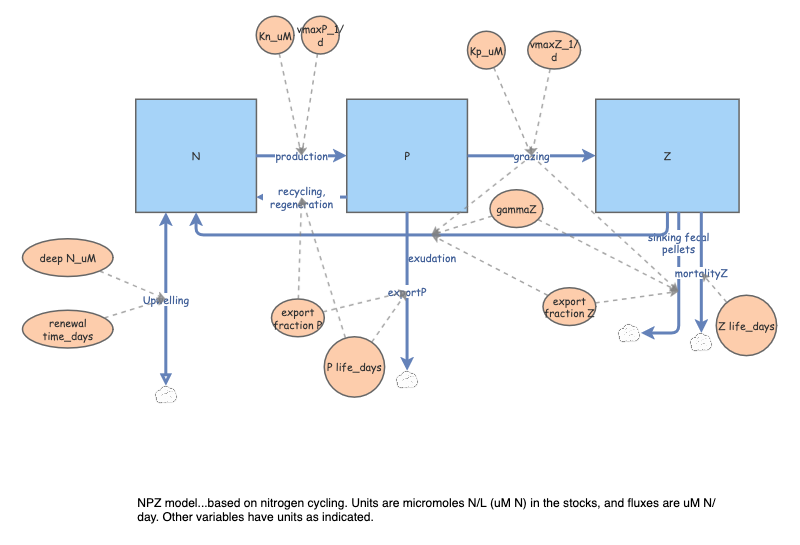 Marine NPZ model_W25 | Insight Maker