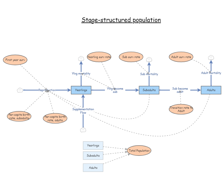 Clone of Clone of Stage-structured population | Insight Maker