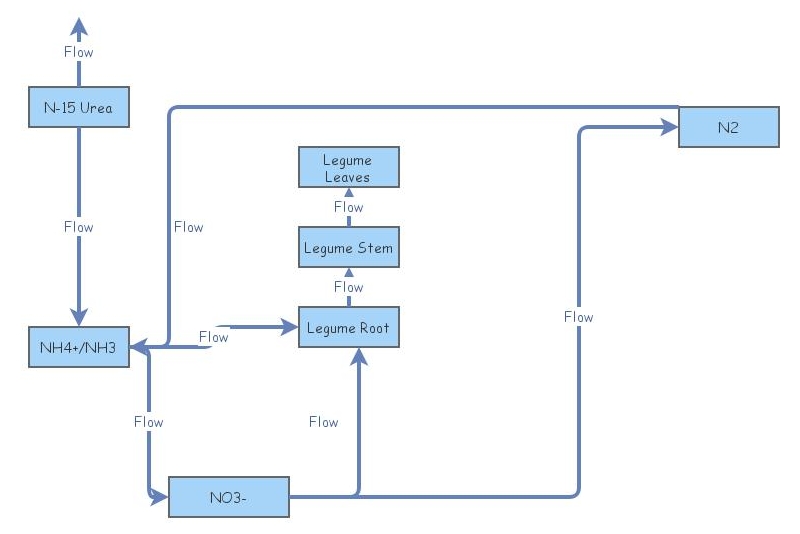 Nitrogen Cycle | Insight Maker