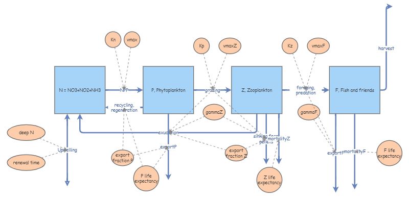 Clone of Marine NPZF model | Insight Maker