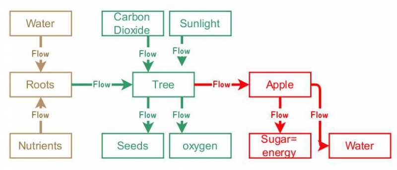 Plant System | Insight Maker