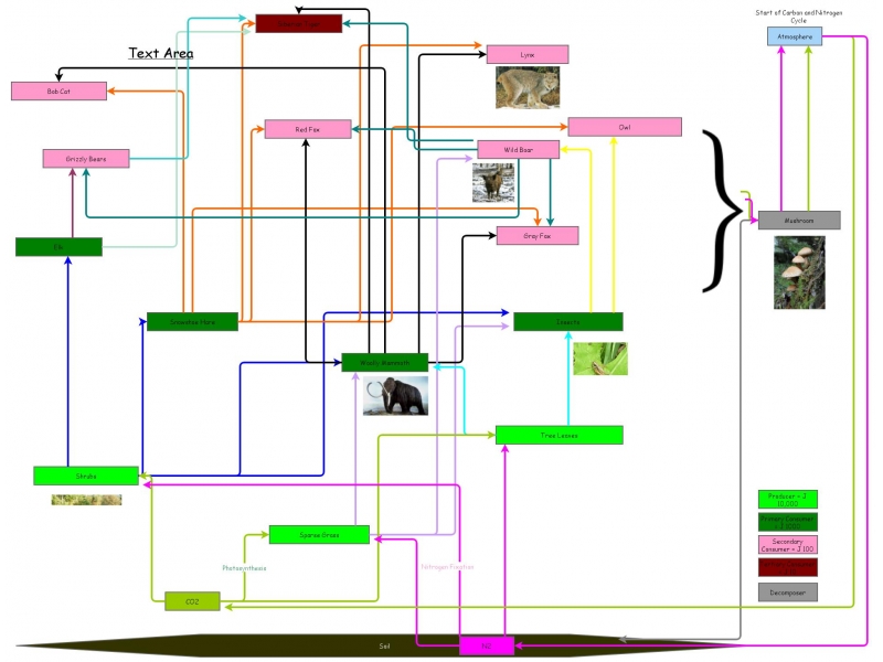 Woolly Mammoth Boreal Forest Food Web | Insight Maker