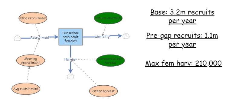 Clone of Horseshoe crab model | Insight Maker
