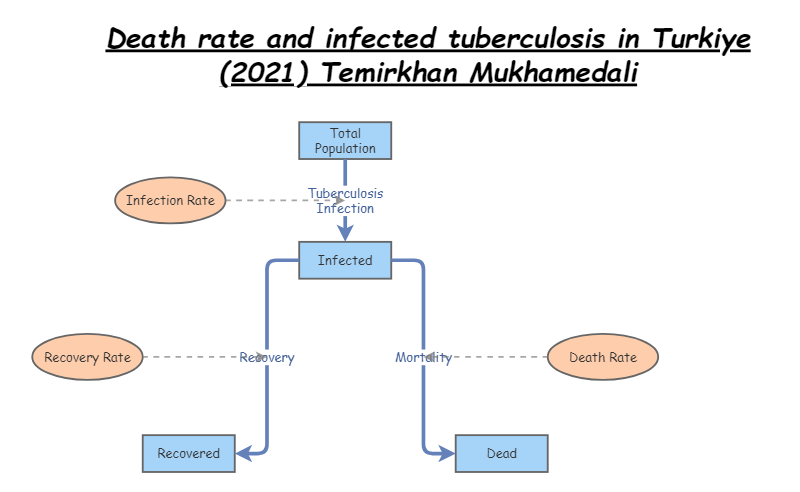 Tuberculosis in Turkiye (2021) Temirkhan Mukhamedali | Insight Maker