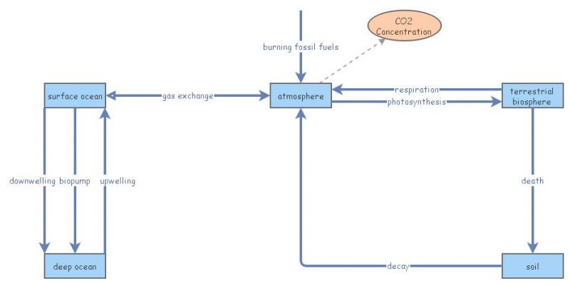 The Carbon Cycle | Insight Maker