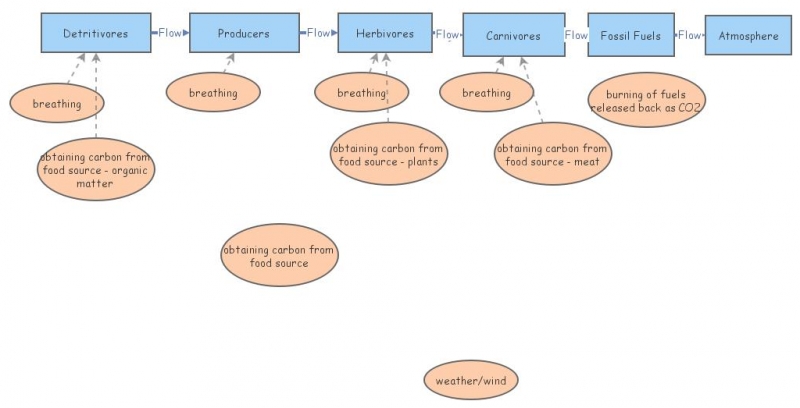 Carbon Cycle | Insight Maker