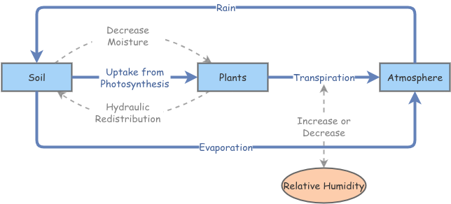 Soil, Plants, Atmo | Insight Maker
