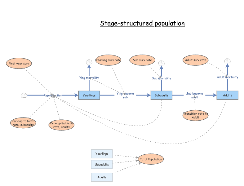 Stage Structured Population Insight Maker