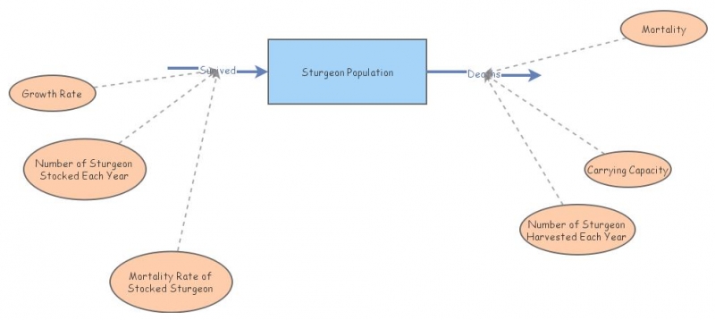 Clone of Lake Sturgeon Population Model | Insight Maker