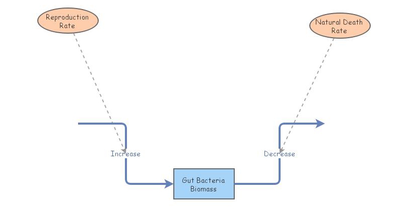 First Cut Model | Insight Maker