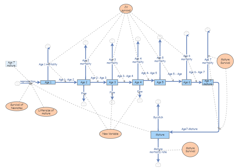 Wobbegong PVA | Insight Maker