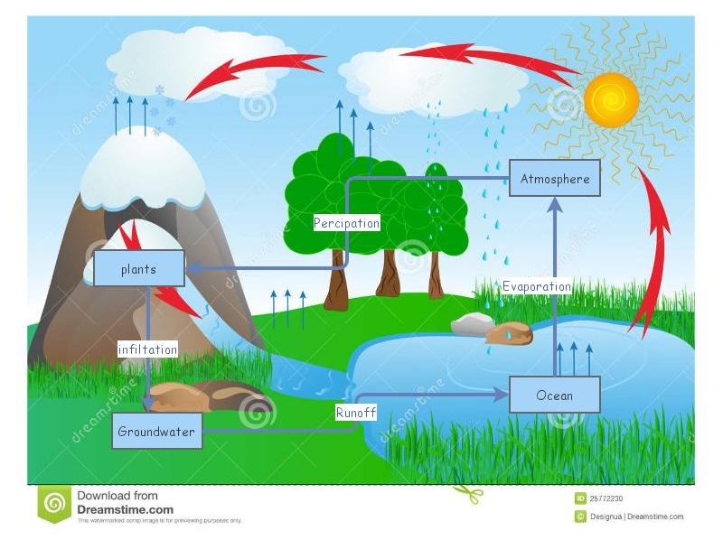 Water cycle | Insight Maker
