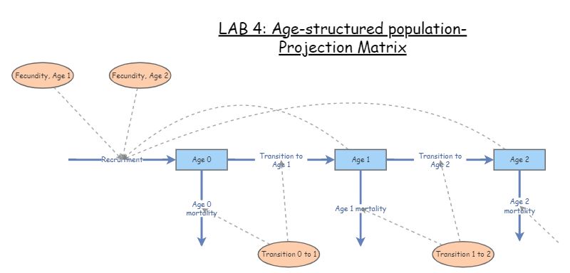 Lab 4: Exercise 2b | Insight Maker