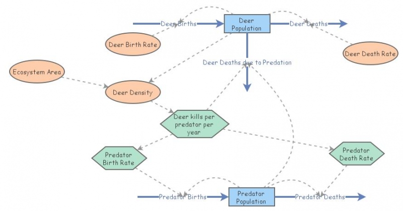 Predator Model | Insight Maker