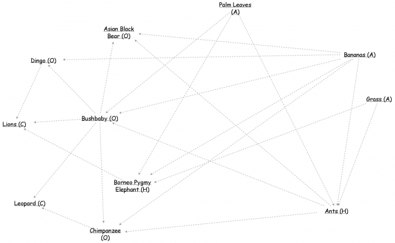 Asian Rainforest Food Web | Insight Maker