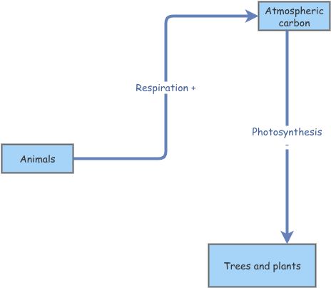 Negative climate feedback loop | Insight Maker