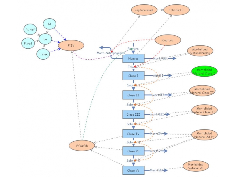 Clone C. intermedius tarea 3 Correccion EN tasa anual | Insight Maker