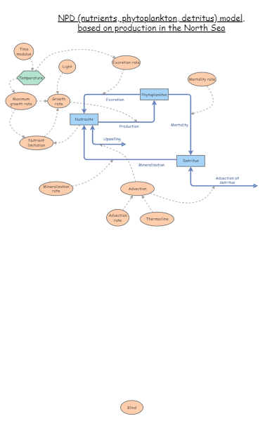 Clone of NPD model (Nutrients, Phytoplankton, Detritus) | Insight Maker