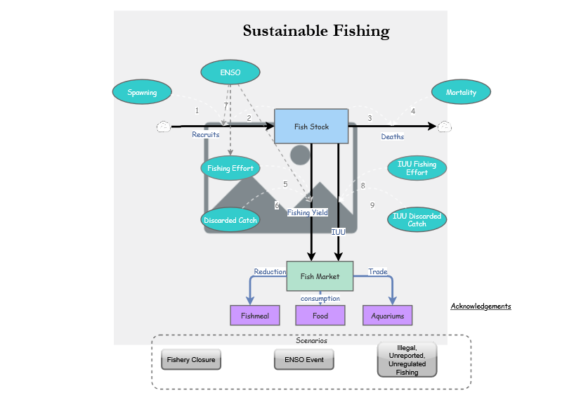 Clone of Clone of Stage 4 - Sustainable Fishing Model | Insight Maker