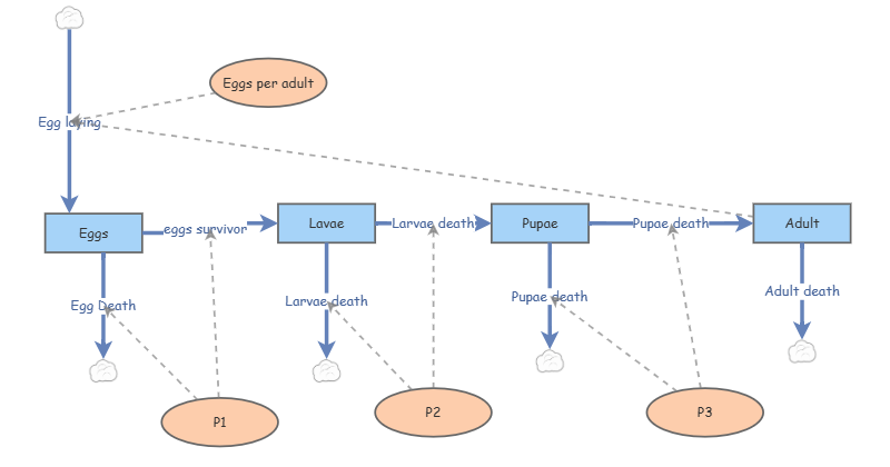 Leslie model | Insight Maker
