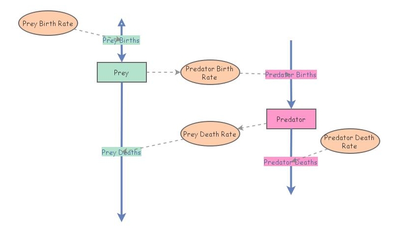 Predator Prey: Lotka-Volterra model | Insight Maker