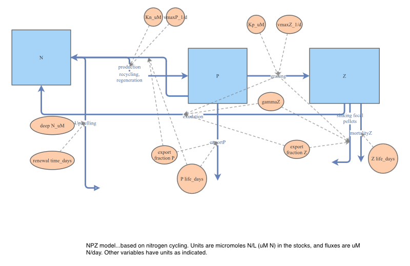 Clone of Marine NPZ model_W25 | Insight Maker