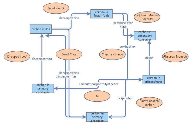 Carbon stock/flow | Insight Maker